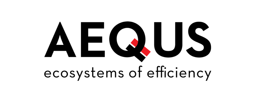 Aequs - Amicus Capital Partners